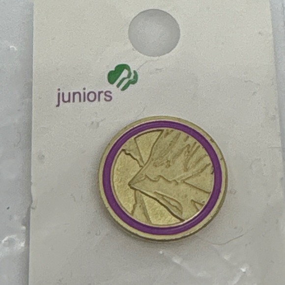 Jewelry | Girl Scout Juniors Junior Summit Award Pin Mountain Design ...
